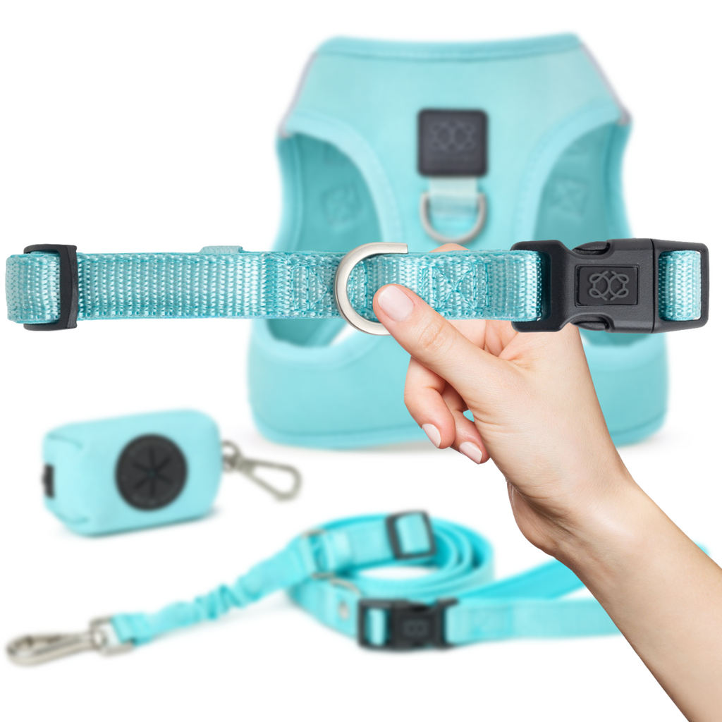 Top 9 Stylish & Functional Dog Walking Accessories for Modern Dog Pare