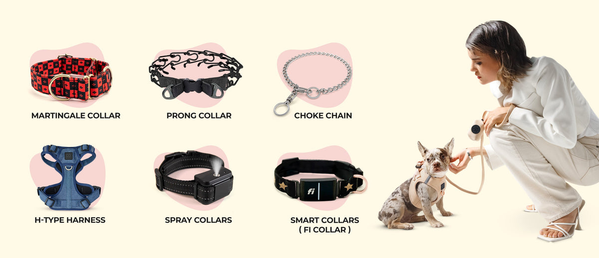 Types of Dog Training Collars: Which One is Right for Your Pup?