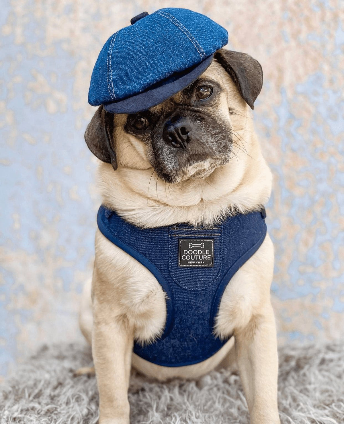 Why Dogs Are Our Best Friends and Companions