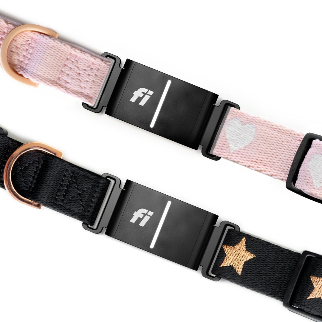 Luxury Fi Series 3+ GPS Dog Collars | DOGISTRY