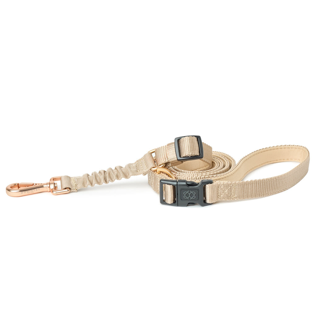 3-in-1 Adjustable Dune Dog Leash with Bungee | Dogistry