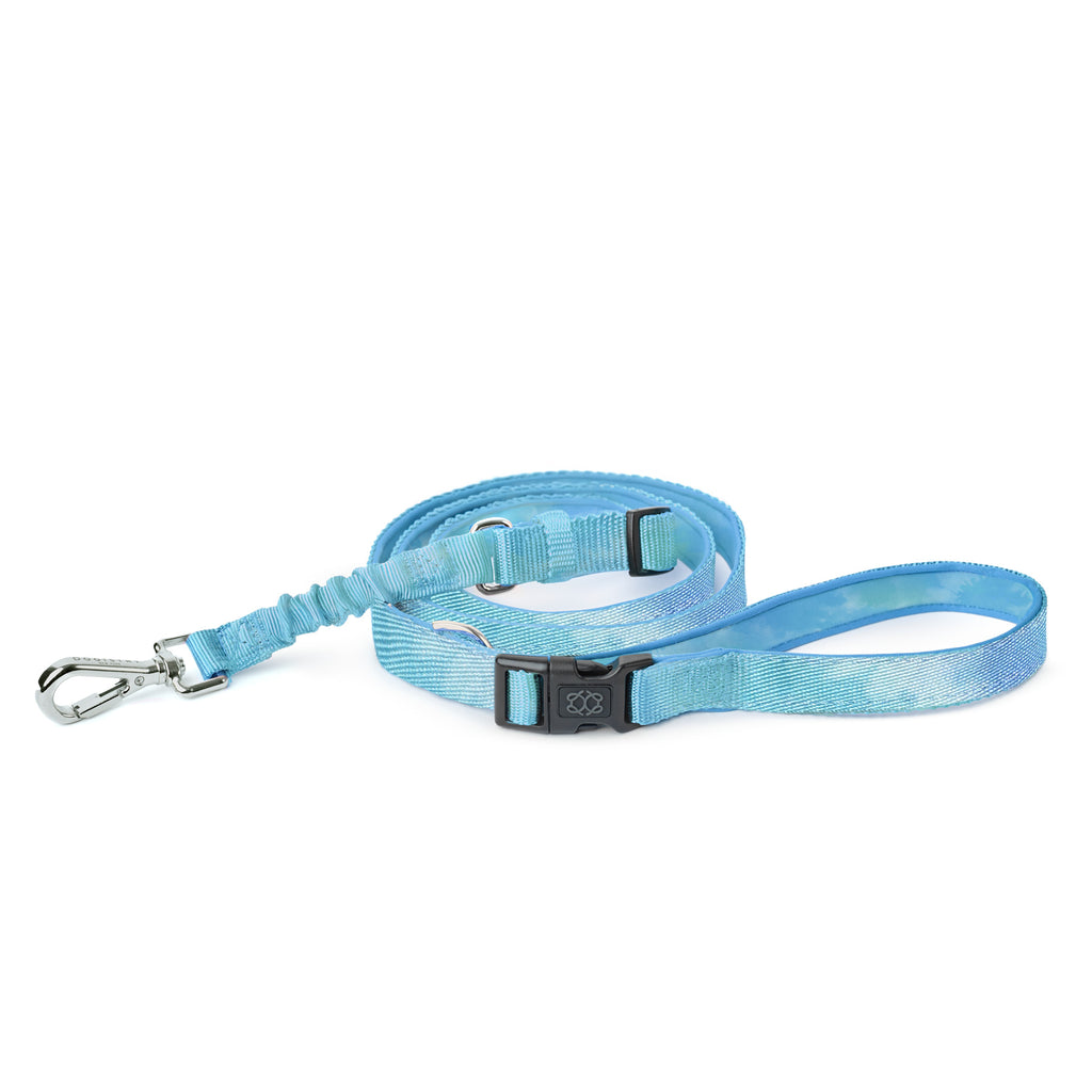 Summer AIR Dog Leash – 3-in-1 Hands-Free Adjustable Leash | Dogistry
