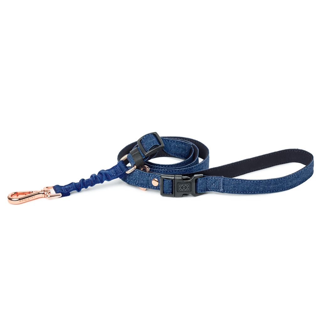 3-in-1 Adjustable Denim Dog Leash with Bungee | Dogistry