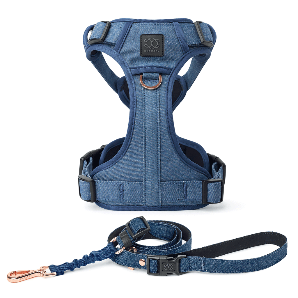 Blue Denim No-Pull Dog Harness Set for Medium & Large Dogs | Dogistry