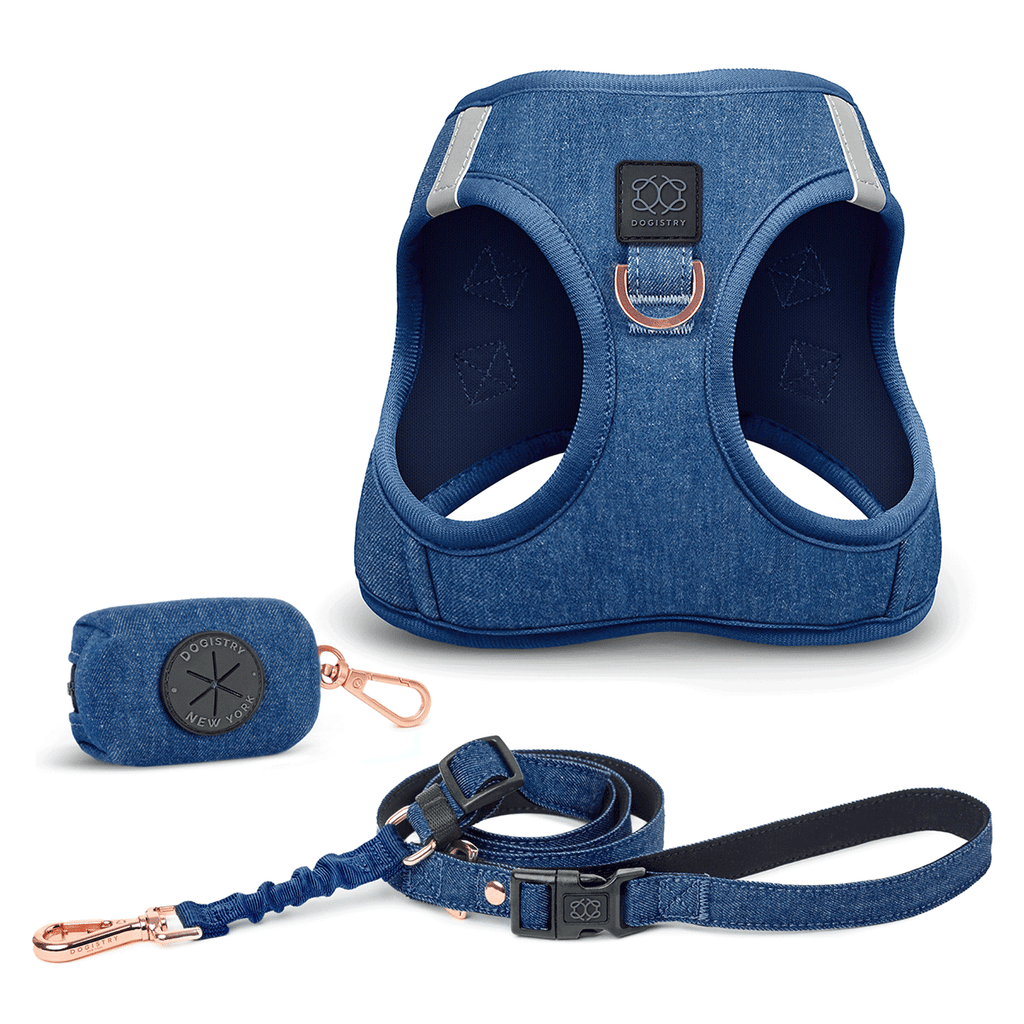 Best Denim Luxe Dog Walking Set | Dogistry