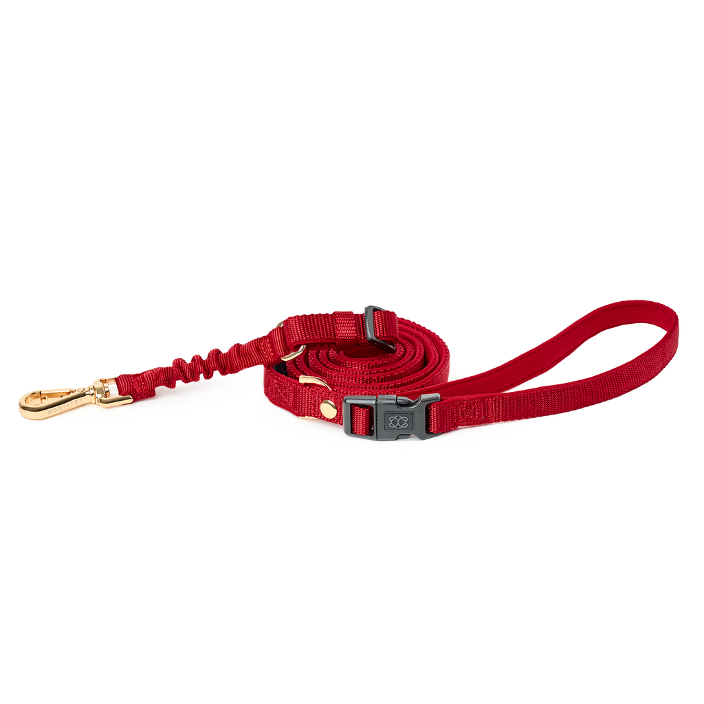 3-in-1 Adjustable Iconic Red Dog Leash with Bungee | Dogistry