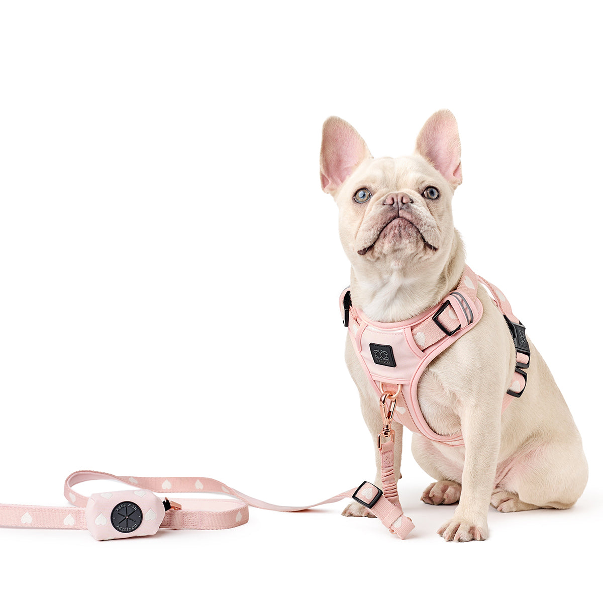 Rose Gold No-Pull Dog Harness for Medium Dogs | Dogistry