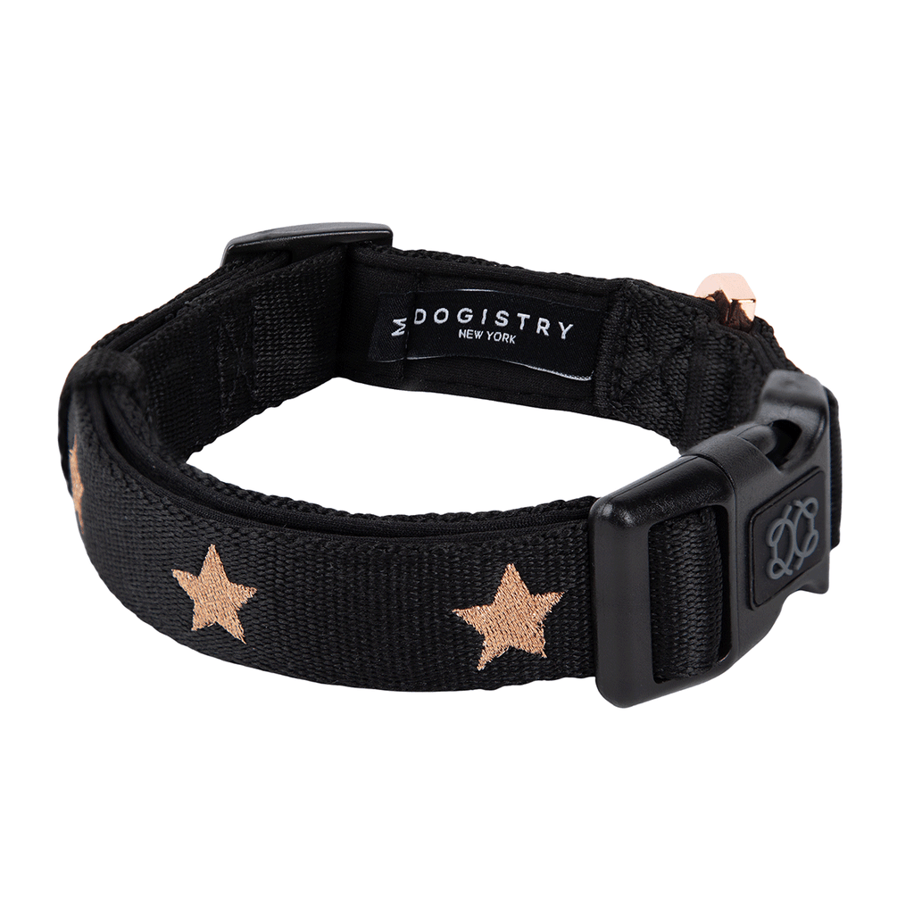 Luxury Rockstar Pet Collar with Premium Comfort | Dogistry