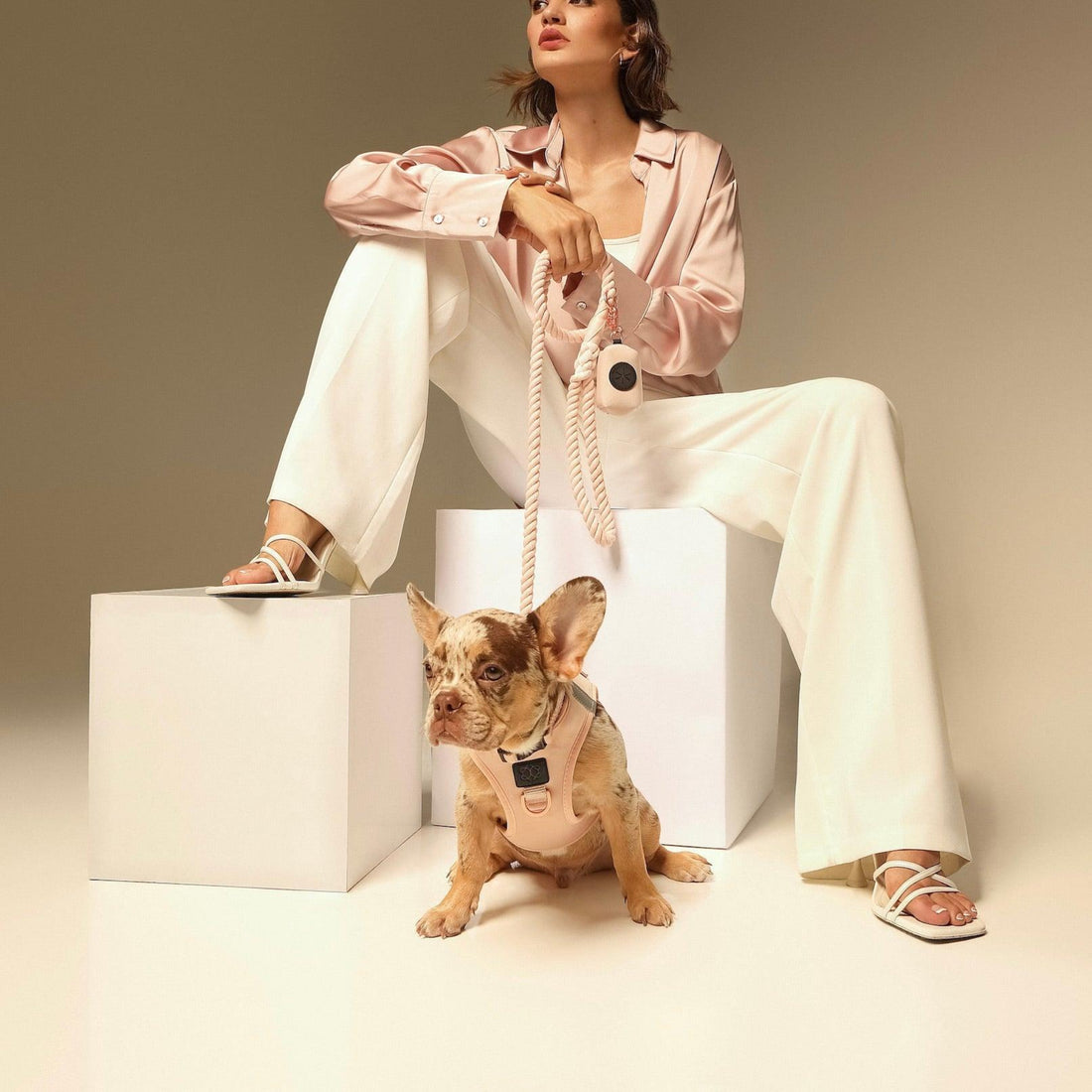 Award-Winning Blush Pink No-Pull Dog Harness | Dogistry