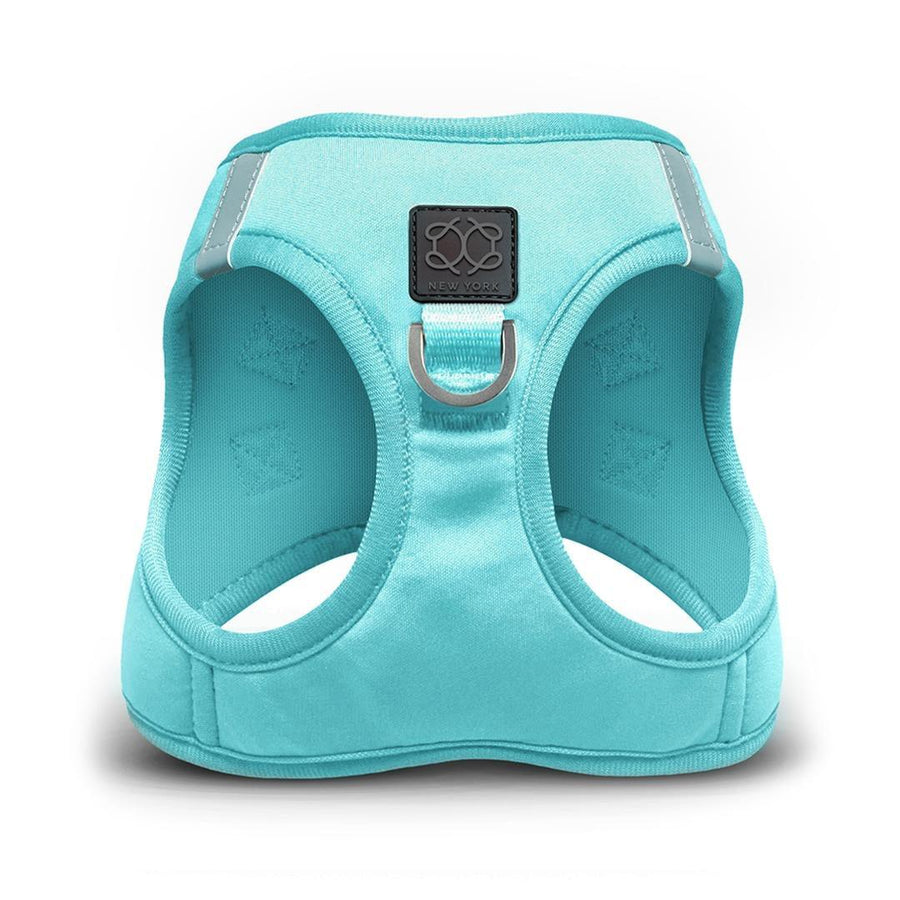Award-Winning Cute Dog Harness – Dogistry