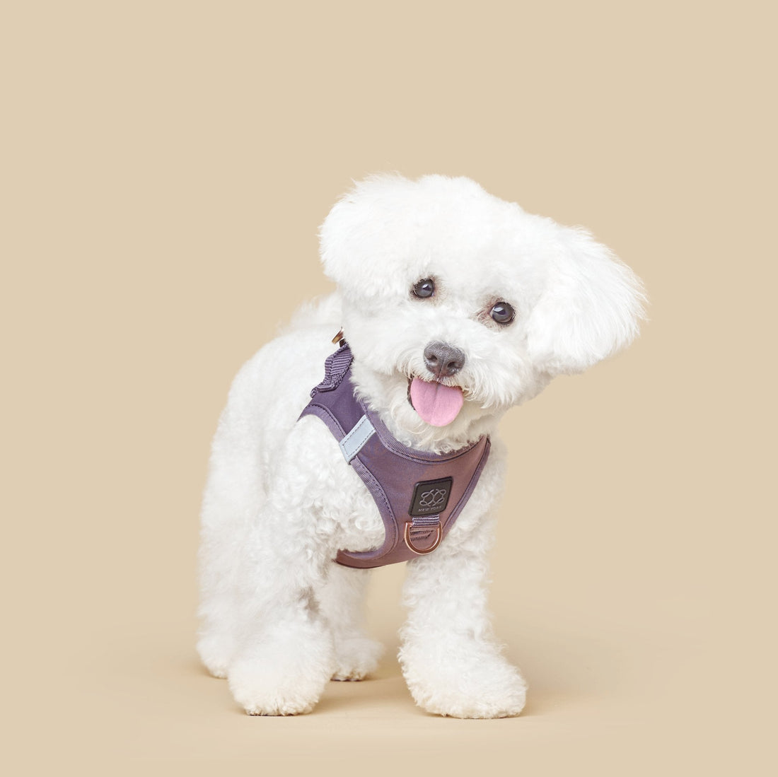 Award-Winning Lilac Gray No-Pull Dog Harness | Dogistry